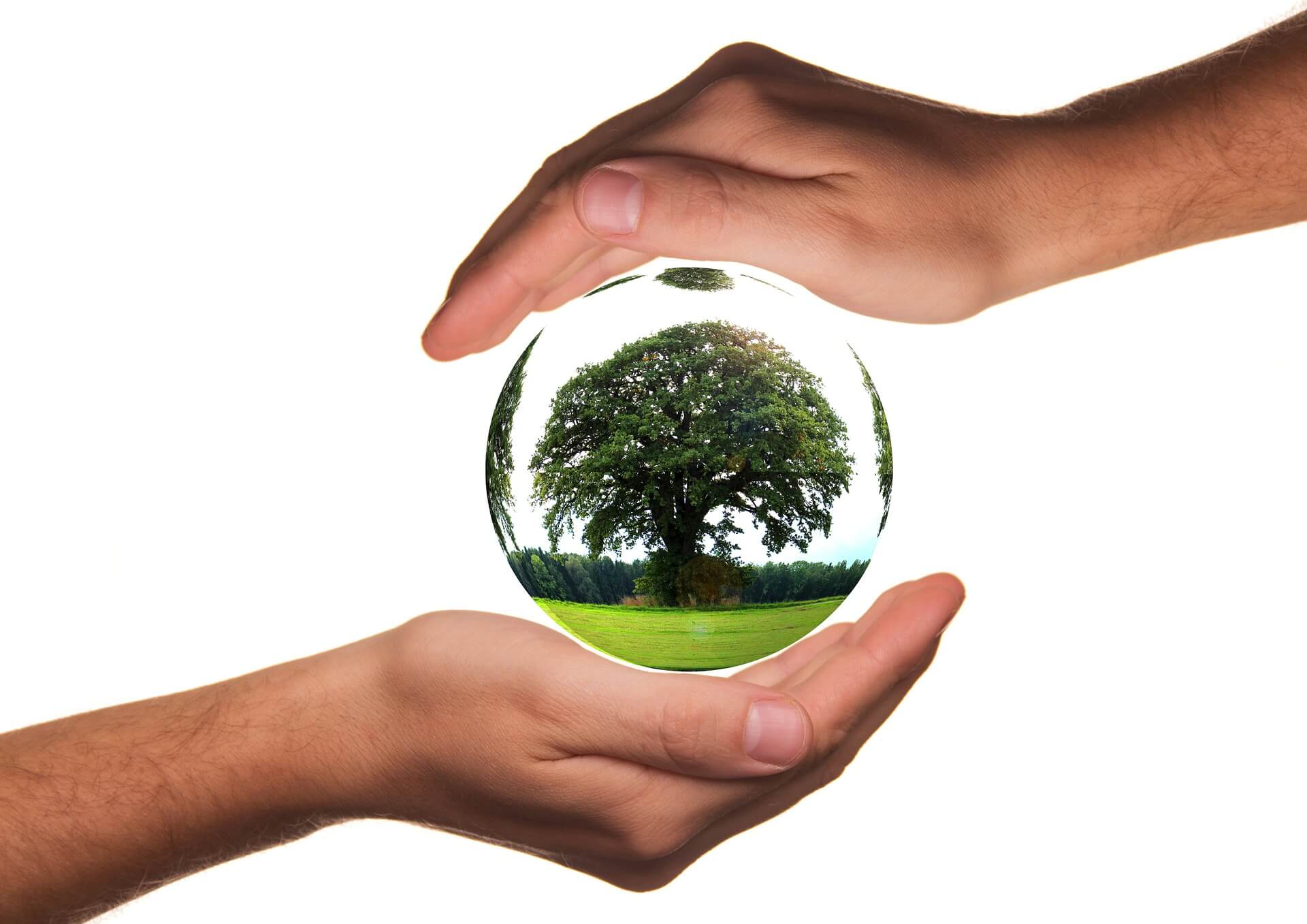 World Environment Day – How can we contribute at individual level ...