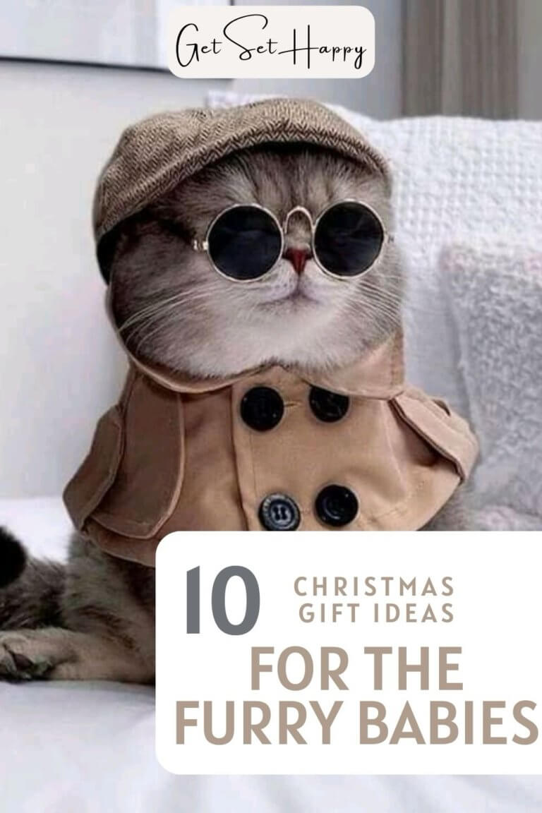 10 Ultimate Christmas Gift Ideas for the Furry Babies | GetSetHappy